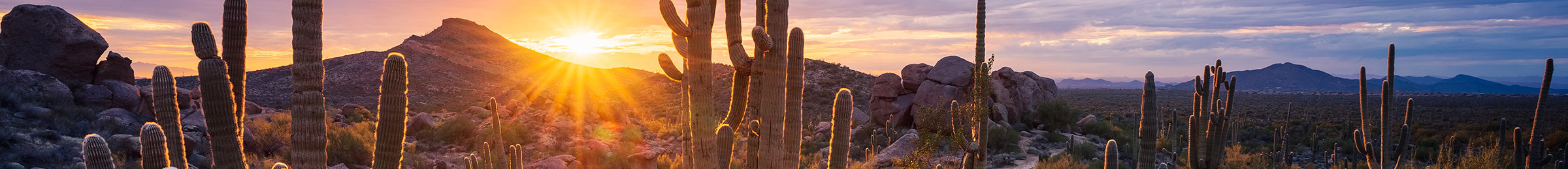 Phoenix CPA Firm: Holthouse Carlin & Van Trigt LLP